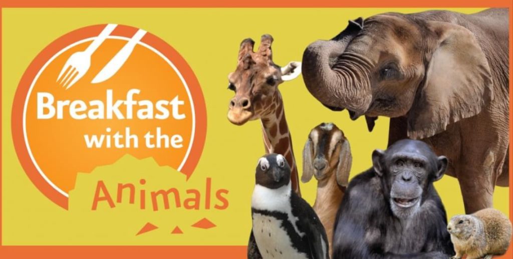 Maryland Zoo | Breakfast with the Zoo Animals - SHIP SAVES