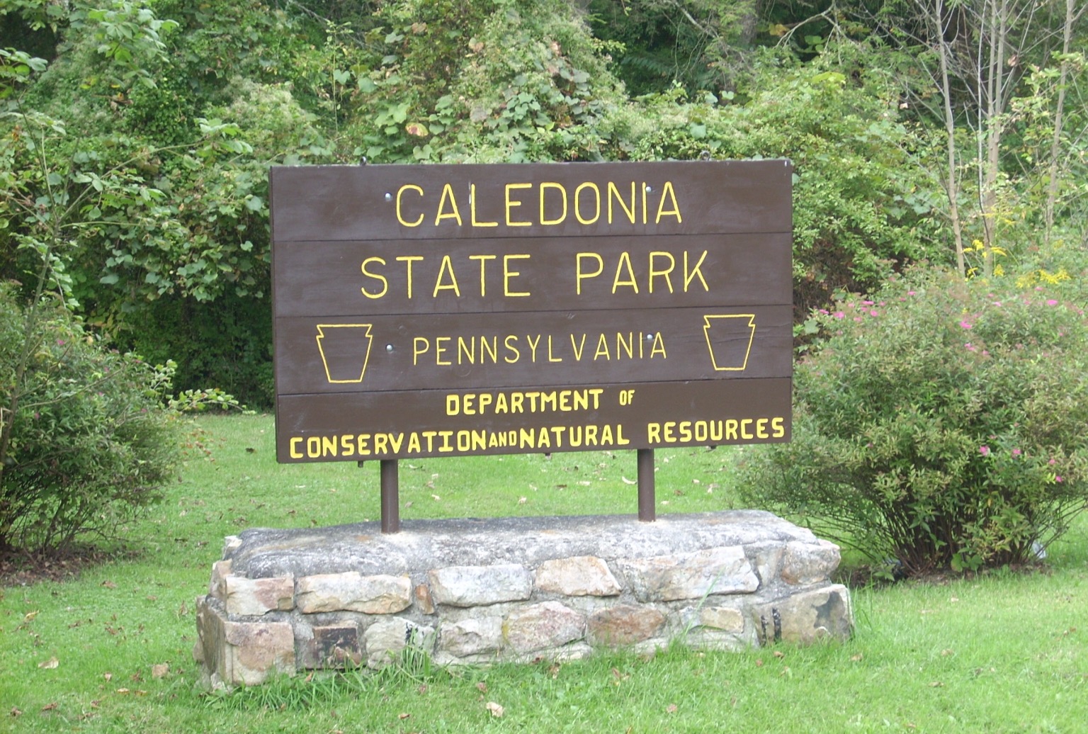 Caledonia Arts & Crafts Fair | July 8 - SHIP SAVES