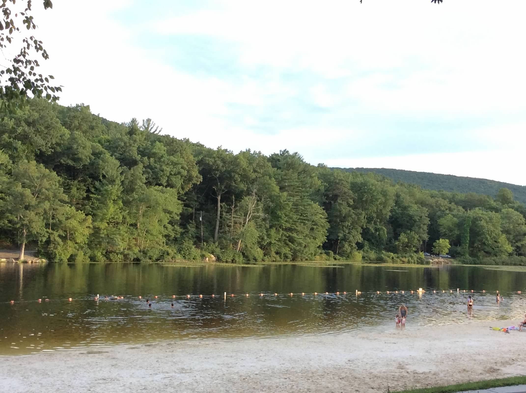 Fuller and Laurel Lake Beaches are Open - SHIP SAVES