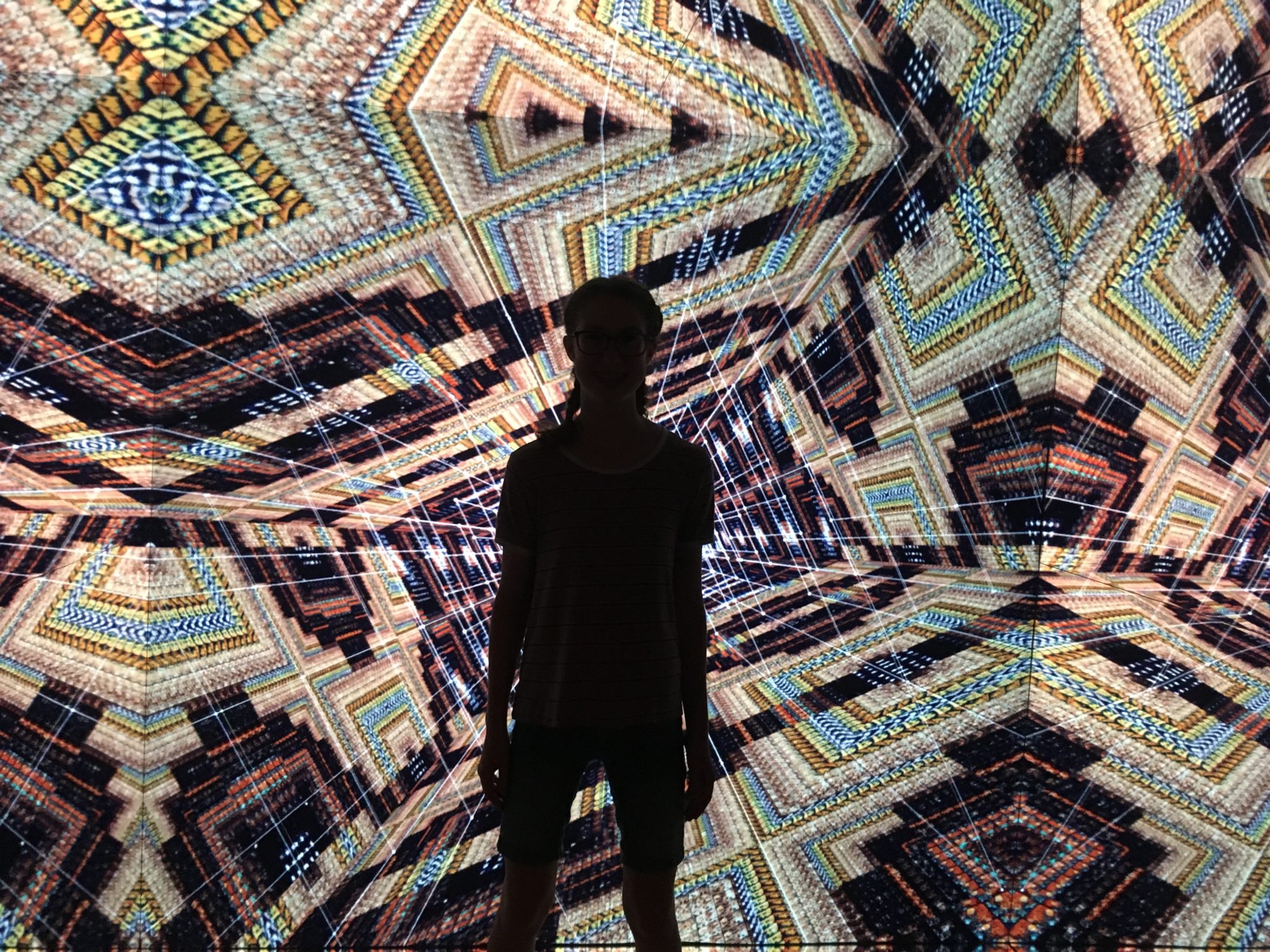 Inside ARTECHOUSE Washington DC | Not your typical art museum! - SHIP SAVES