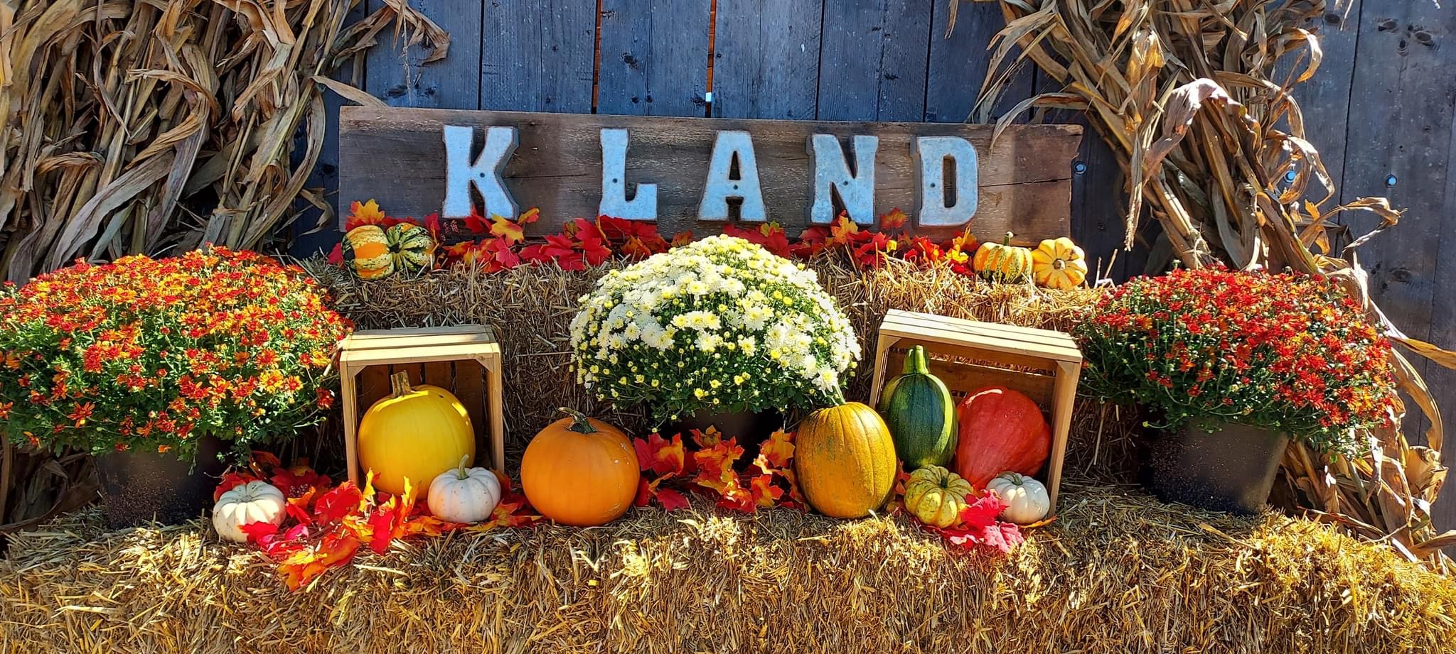 Pick-Your-Own Pumpkins at “K” Land - SHIP SAVES